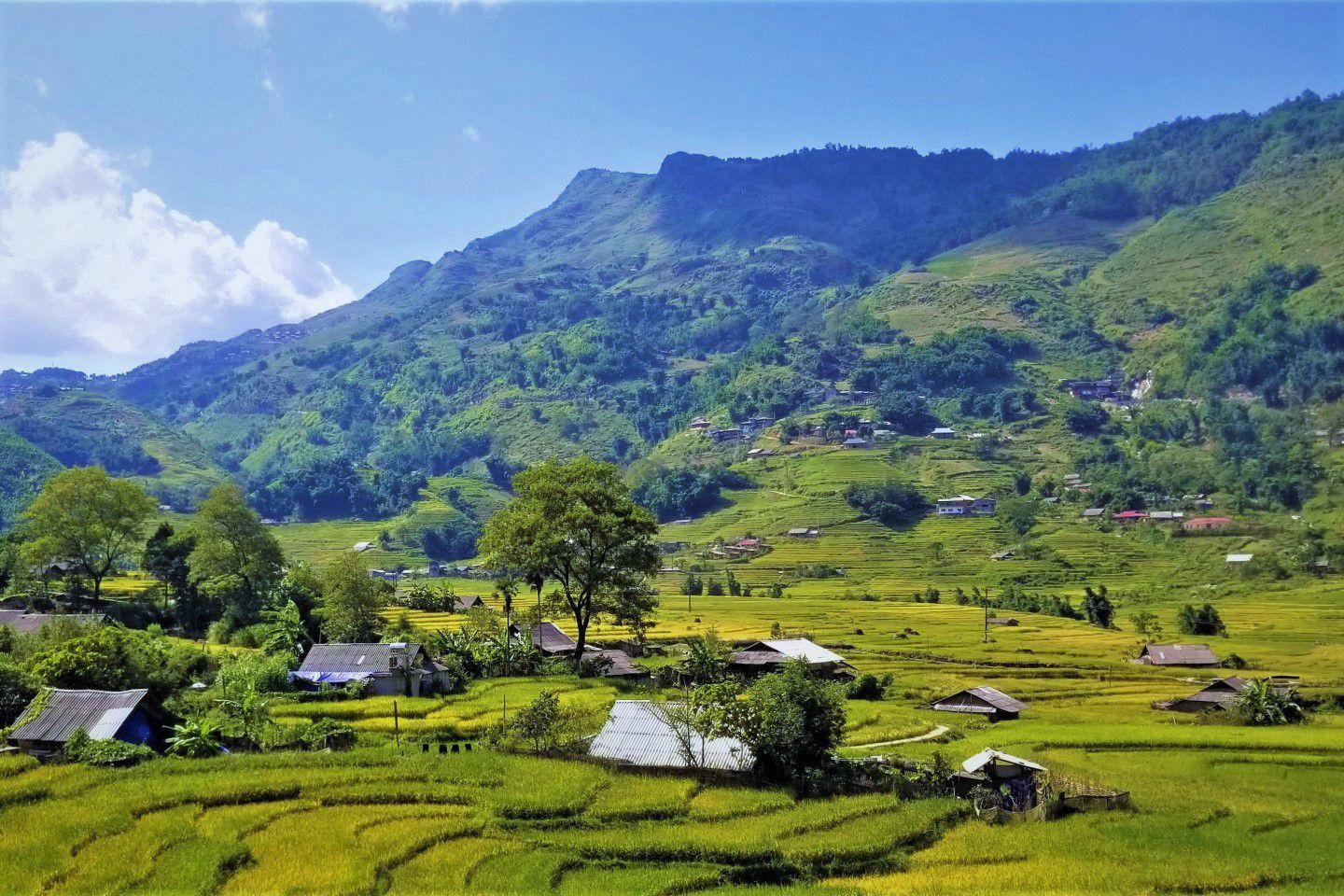 Vacations and Tours in Vietnam with Authentic Experiences